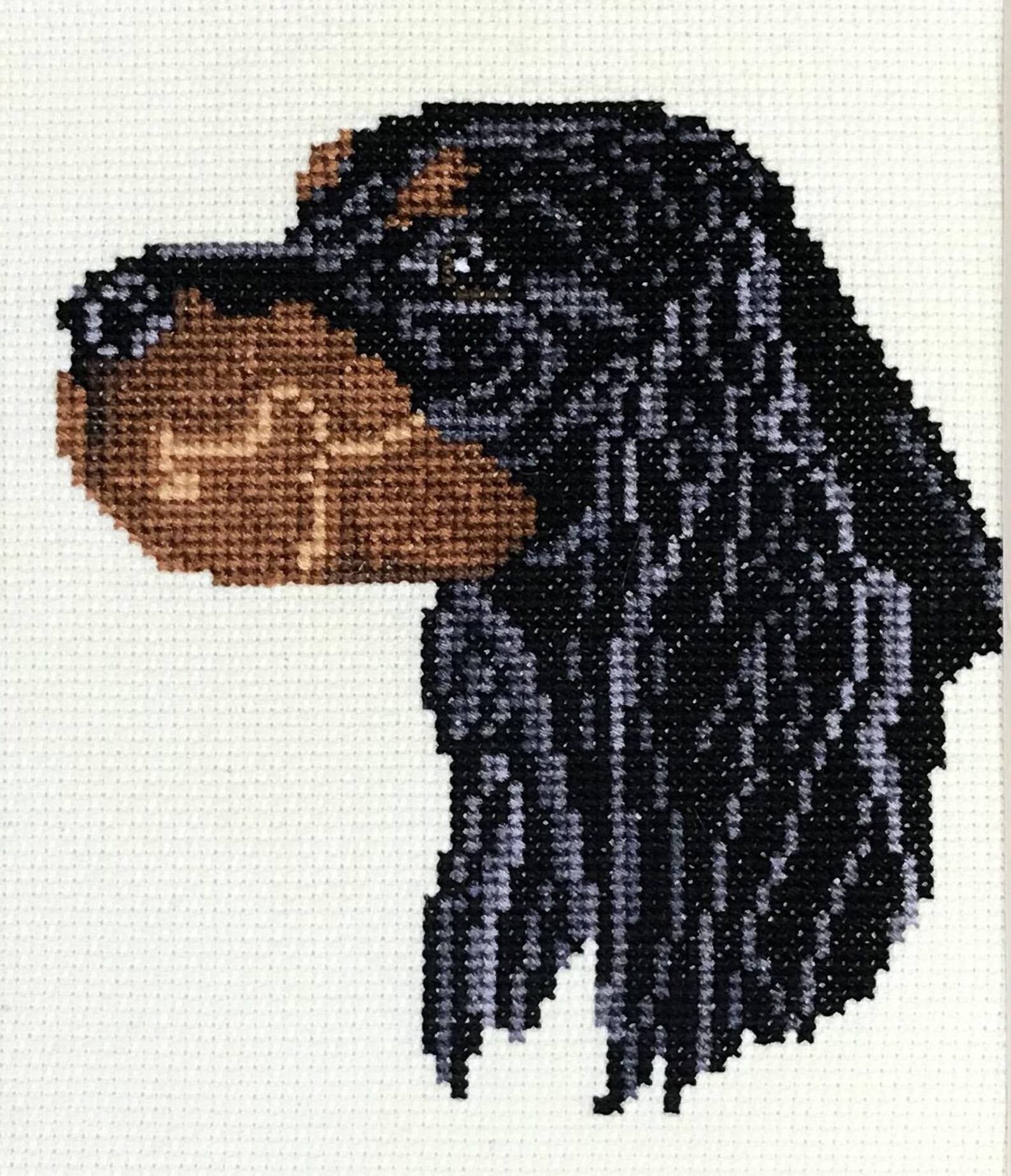 Gordon Setter Cross Stitch Kit With Fabric, Floss and Needle - Etsy
