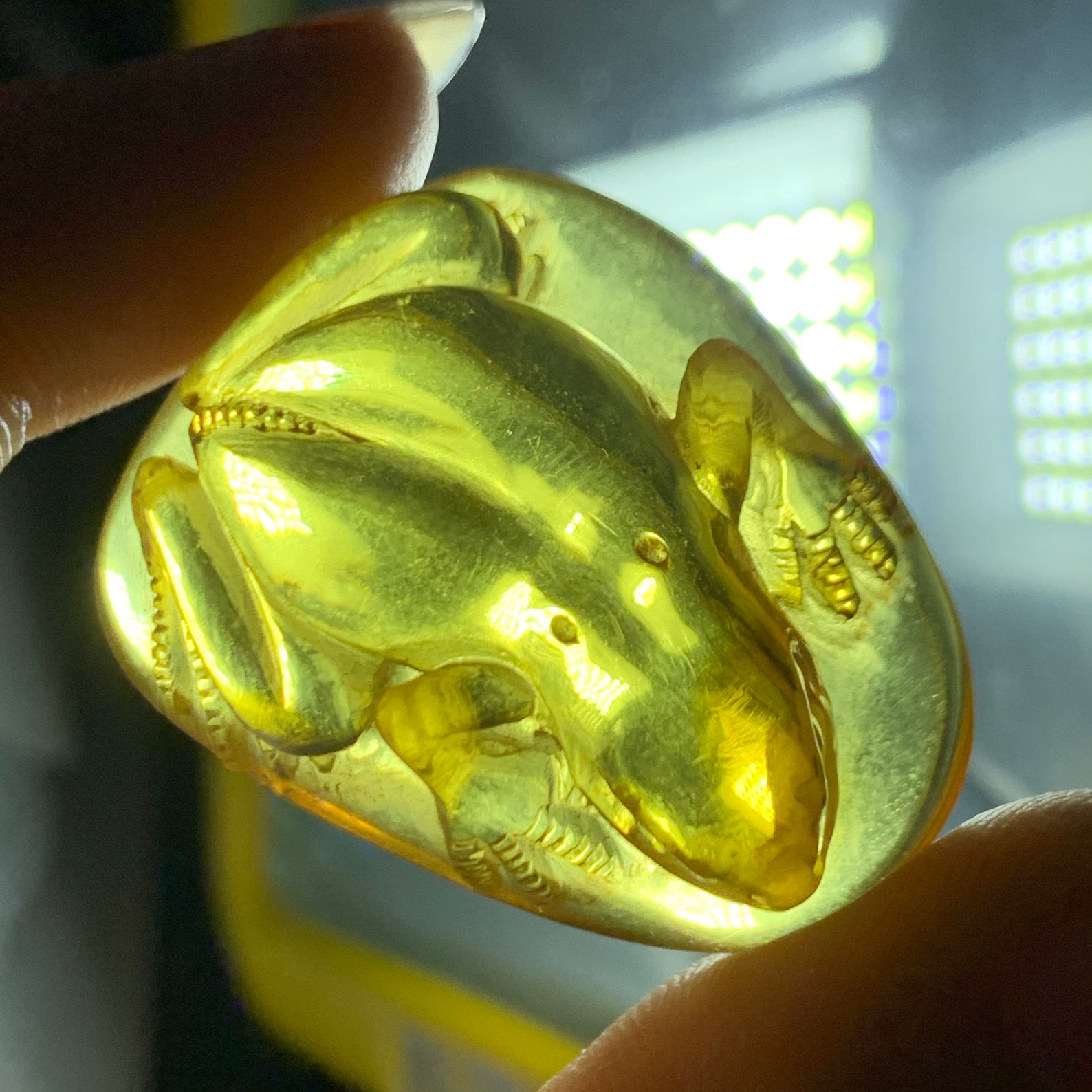Hand Carved Amber Frog - Etsy