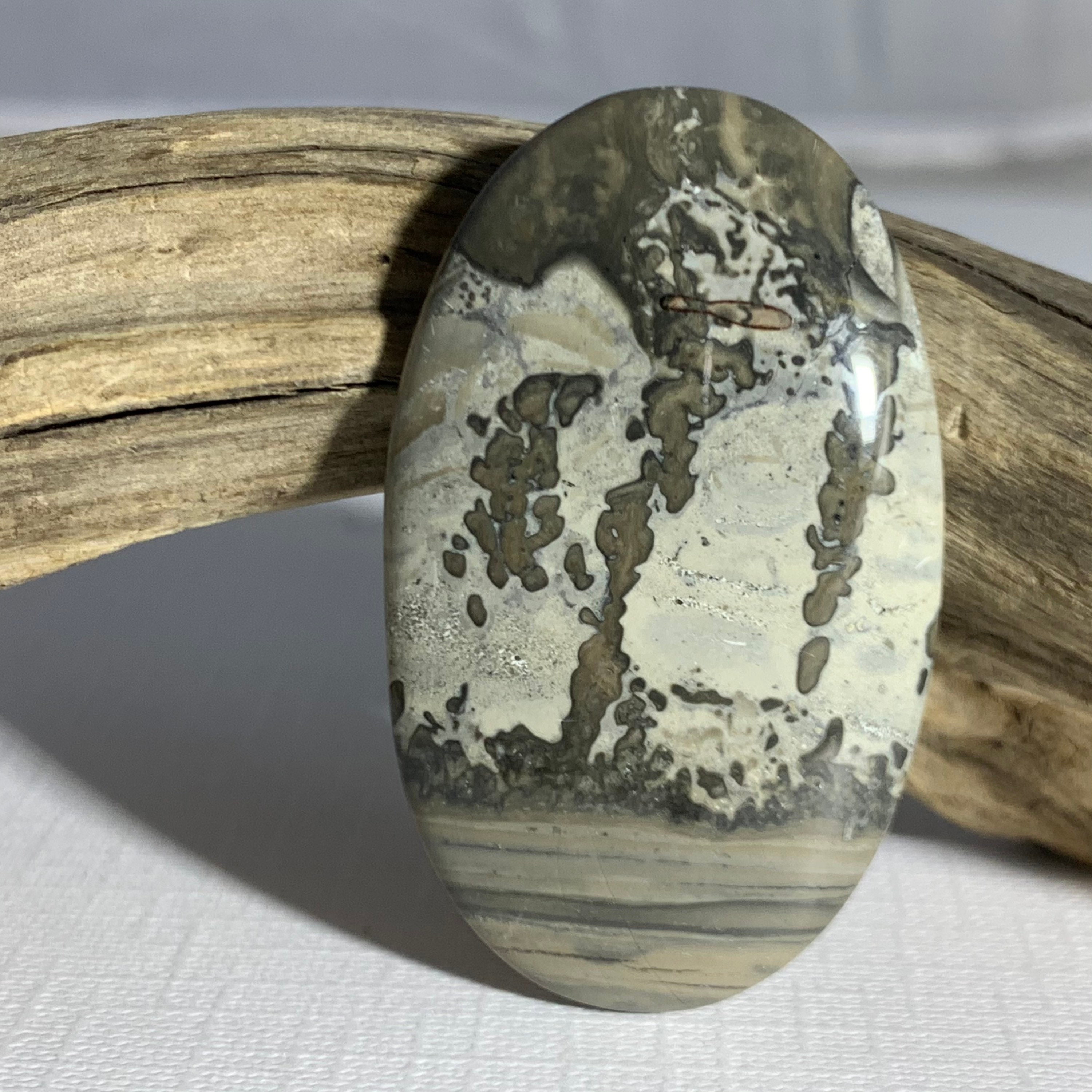 Cotham Marble Cabochon Stromatolite UK - Etsy