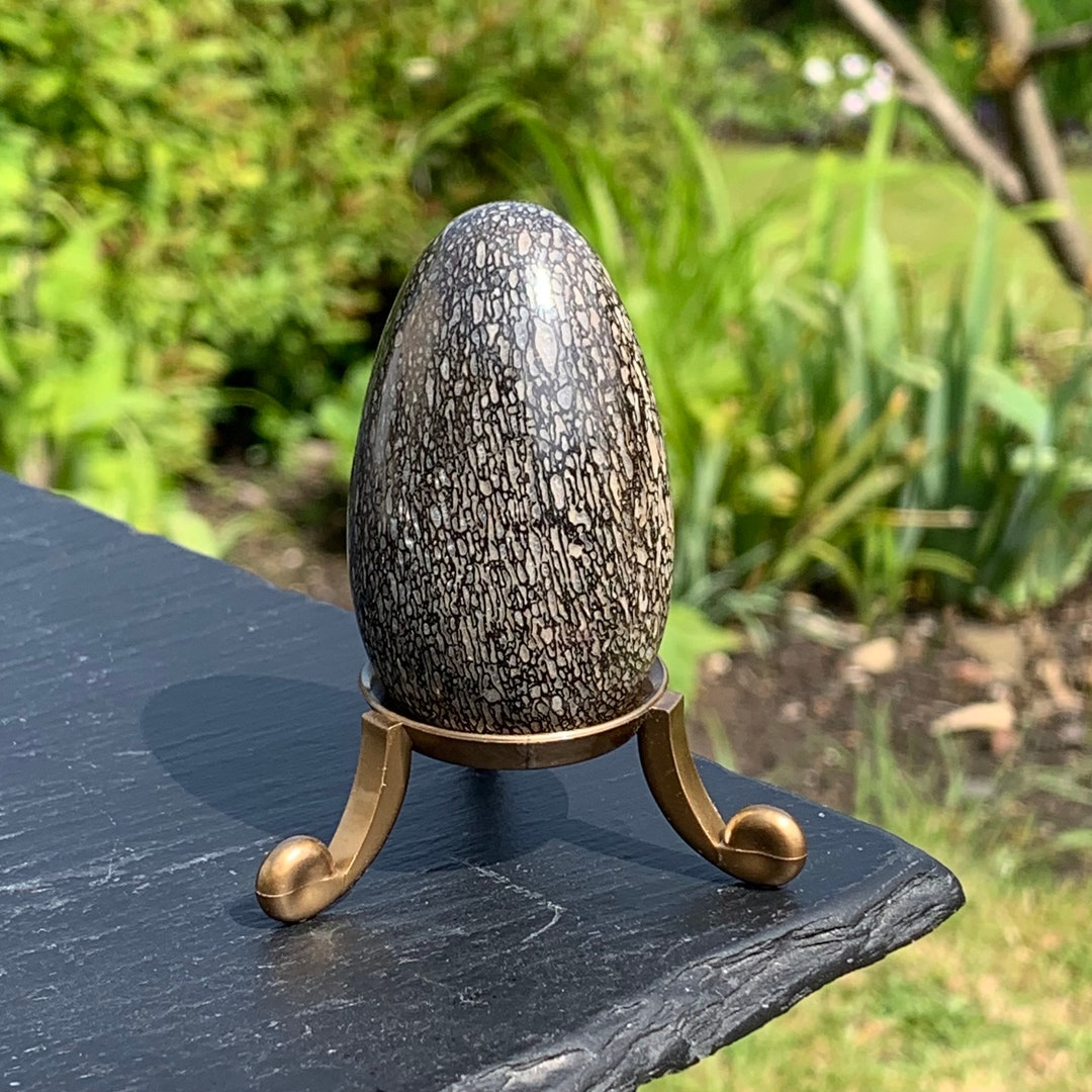 Fossilised Dinosaur Bone Egg, Hand Carved and Polished Egg, UK Fossil ...