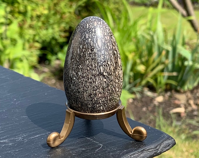 Fossilised Dinosaur Bone Egg, Hand Carved and Polished Egg, UK Fossil ...