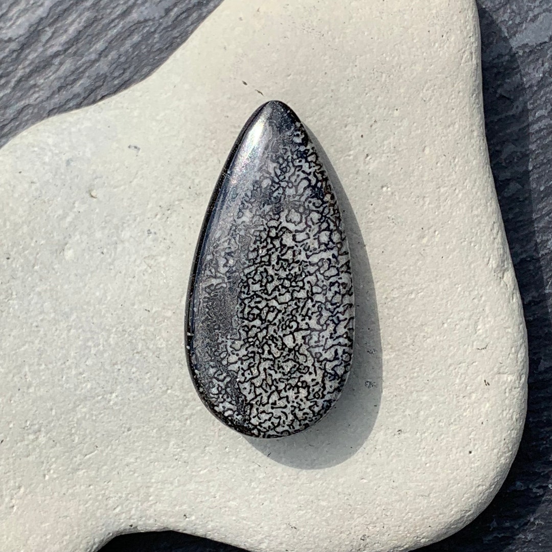 Fossilised Dinosaur Bone Cabochon, Double Sided Cabochon, Teardrop ...