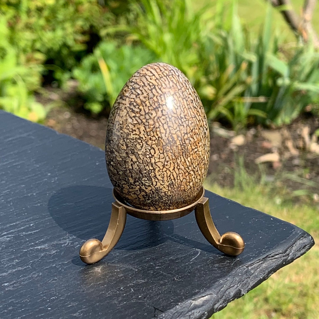 Fossilised Dinosaur Bone Egg, Hand Carved and Polished Egg, Portugal - Etsy