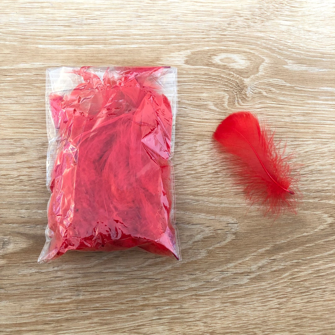 100 Red Feathers - Etsy
