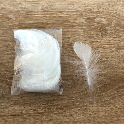White Feathers Natural Feathers Real Feathers Craft - Etsy Australia