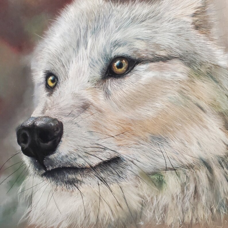 Wolf Painting Realistic Print Signed Limited Edition Animal Art - Etsy