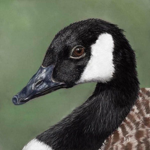Realistic Goose Art - Etsy