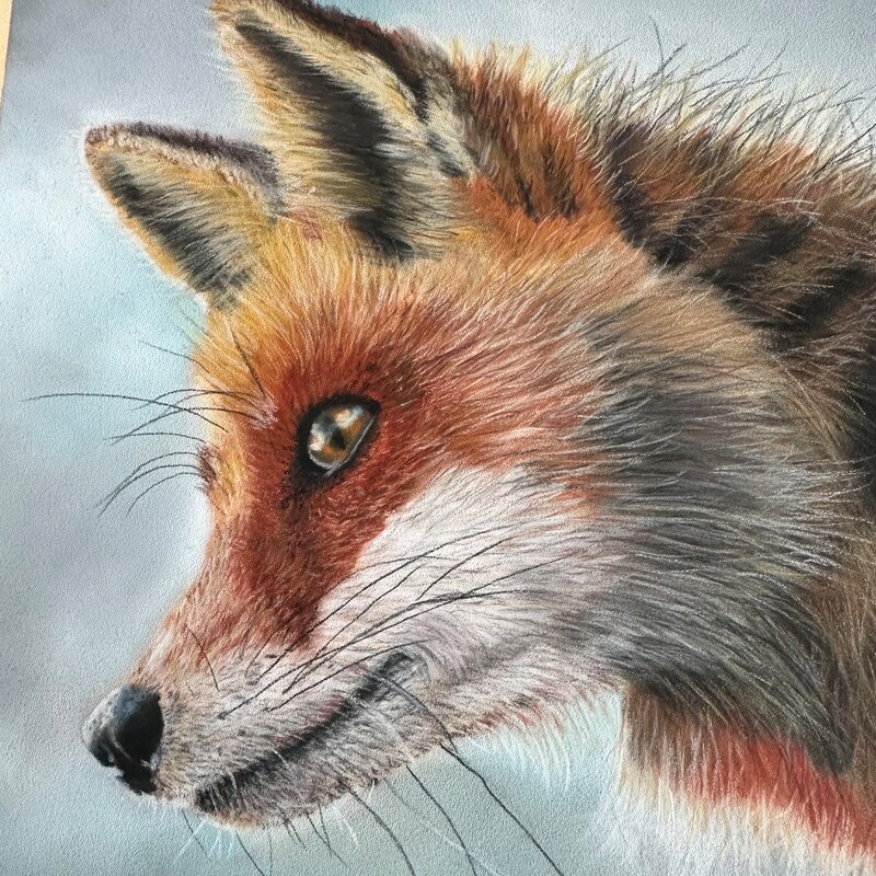 Original Fox - Etsy