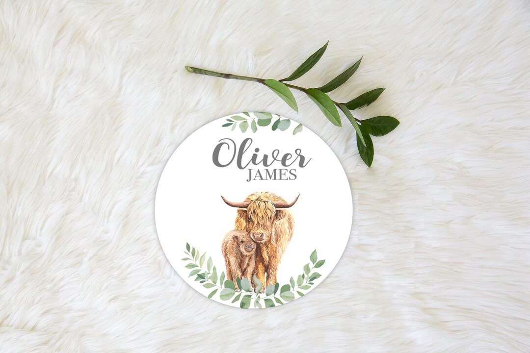 Highland Cow Name Sign, Baby Boy Personalized Sign, Round Wood Sign ...