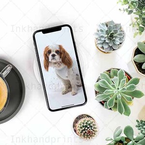 IPhone Mockup,succulent Screen Mock-up, Phone Styled Mockup,blogger ...