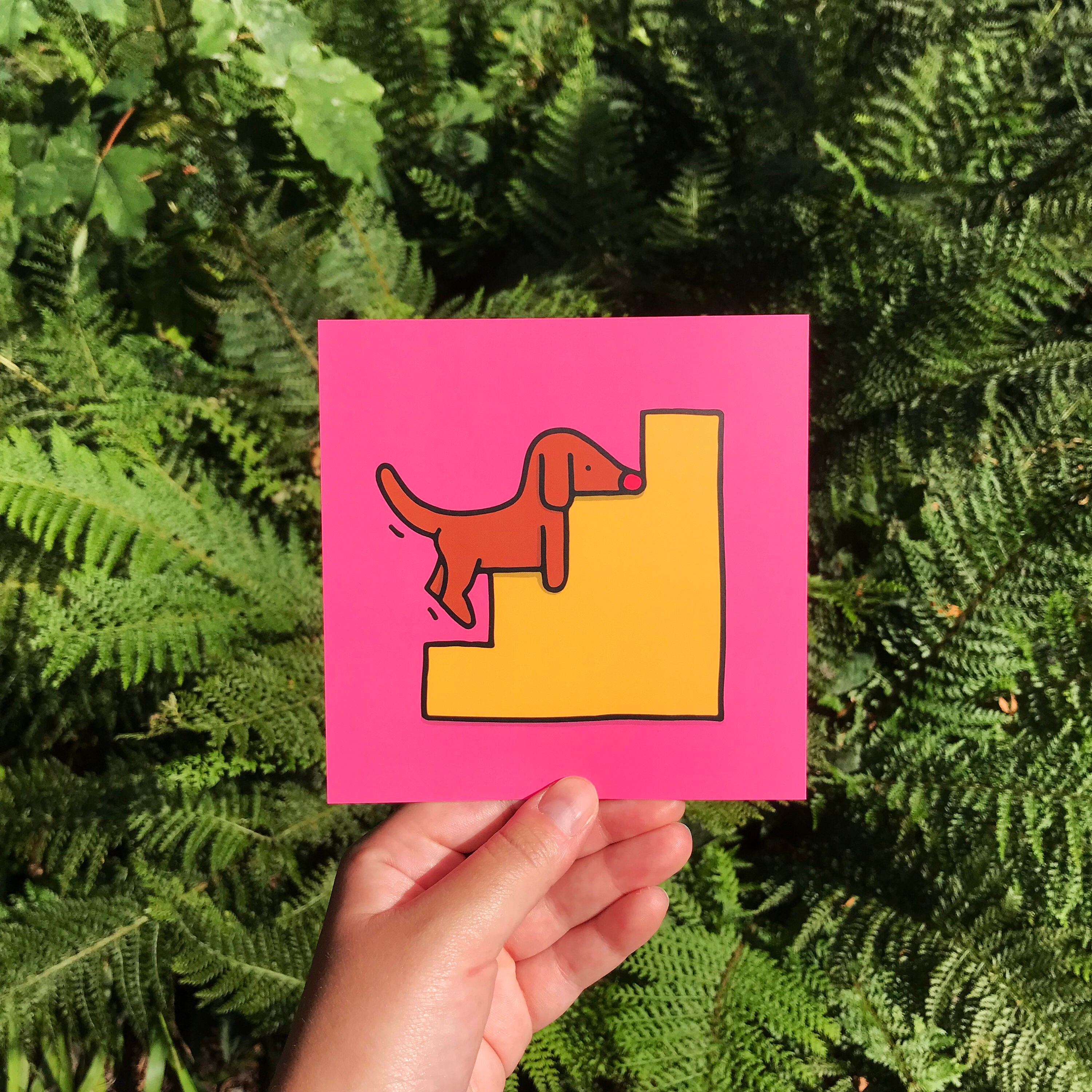 Illustrated Square Postcards Set With Animals Wishing Greeting Card ...