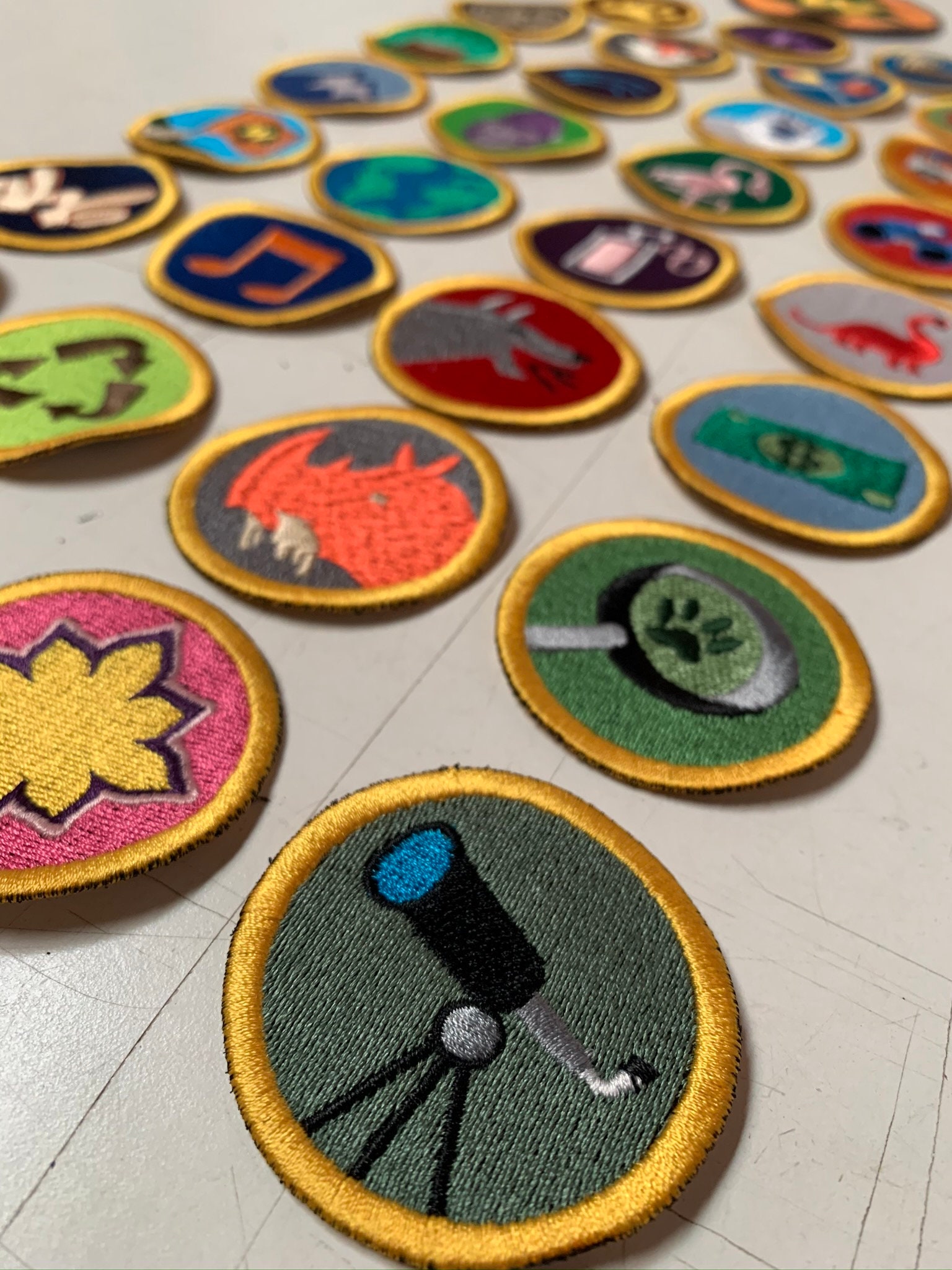 Wilderness Explorer Badges Set Read Entire Description | Etsy