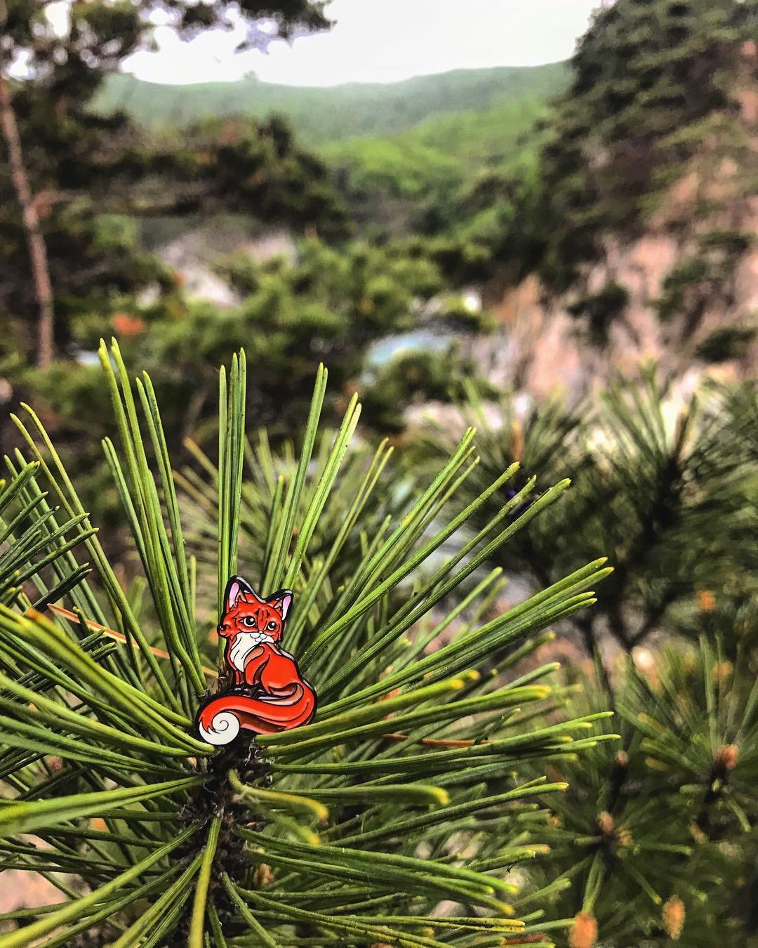 Foxy enamel pin fox pin badge Cute animal fox Pin fox | Etsy
