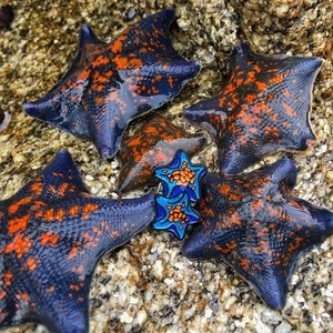 Starfish Enamel Pin, Ocean Lapel Pin, Mermaid Brooch - Etsy