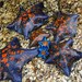 Starfish Enamel Pin Starfish Brooch Ocean Pin Enamel Pin - Etsy