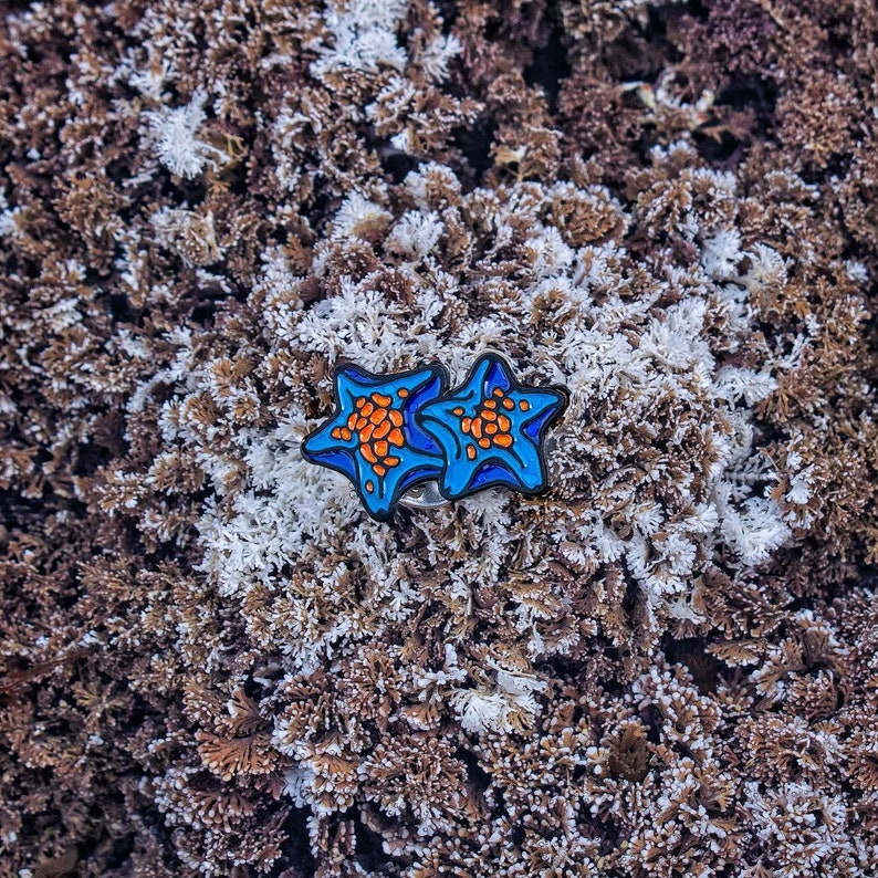 Starfish Enamel Pin, Starfish Brooch, Ocean Pin, Enamel Pin, Mermaid ...