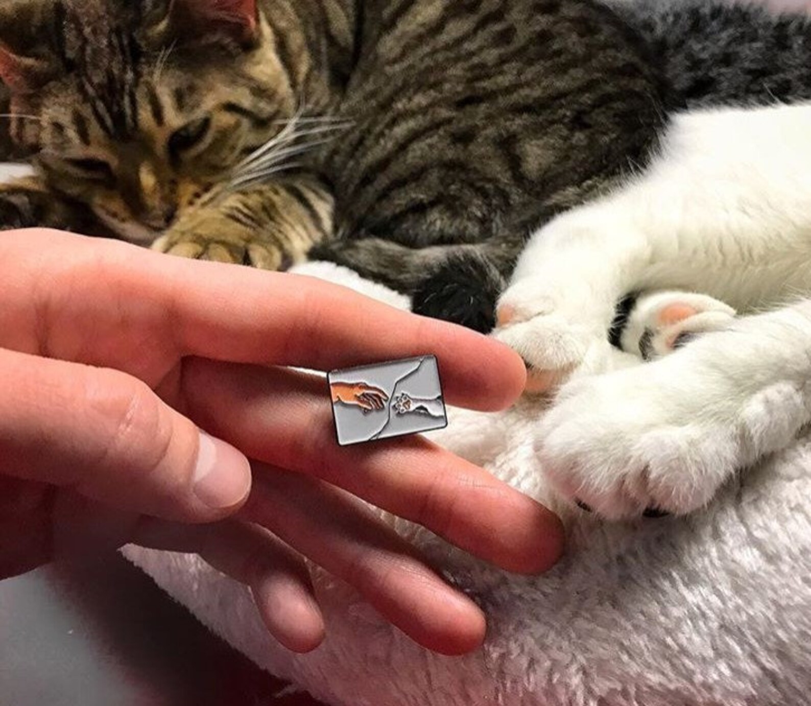 Cat Enamel Pin, Enamel Pins, Enamel Lapel Pin, Cute Pin, Kawaii Pin ...