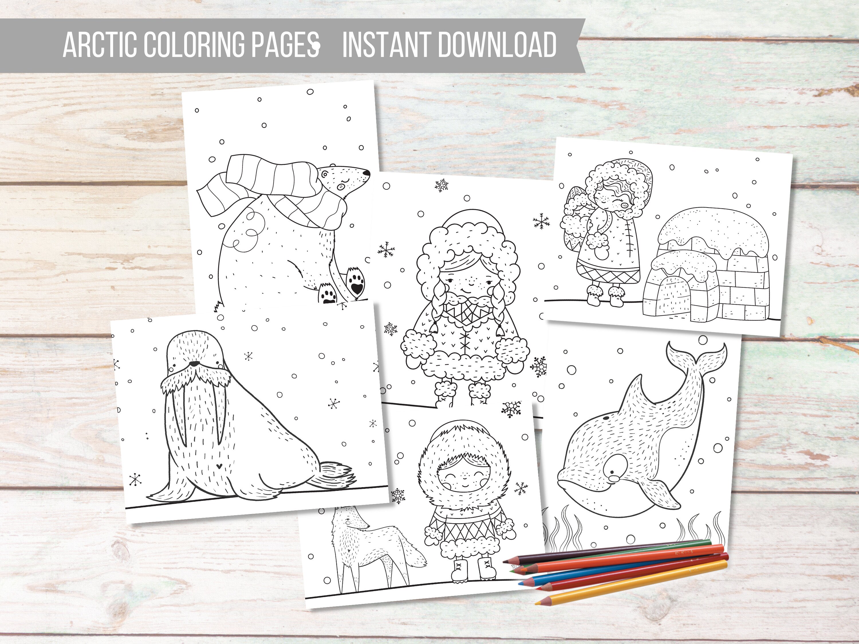 Arctic Habitat Coloring Pages