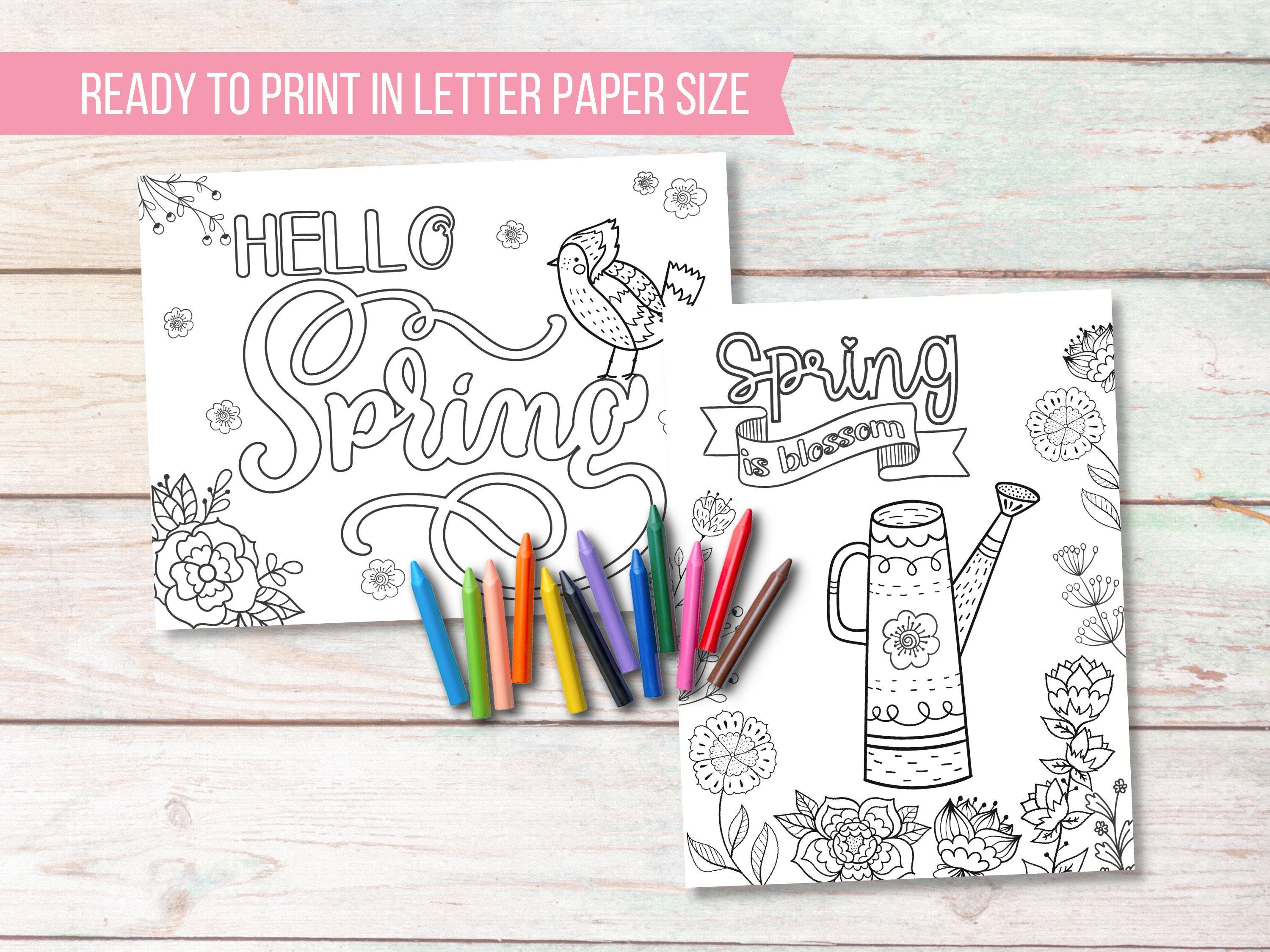 Spring Coloring Page Printable Spring Kids Activity Pages - Etsy