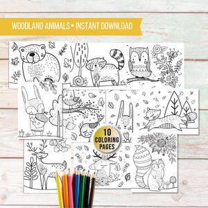 Printable Woodland Coloring Pages for Kids, Kids Animal Activity ...