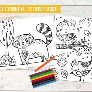 Printable Woodland Coloring Pages for Kids, Kids Animal Activity ...
