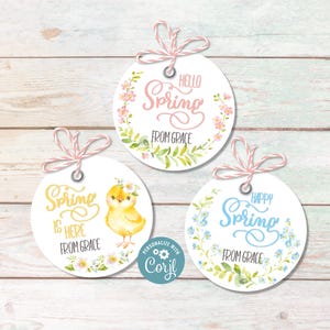 Happy Spring Editable Gift Tags, Cute Chicken, Cookie Packaging, Floral ...