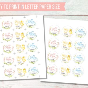 Happy Spring Editable Gift Tags, Cute Chicken, Cookie Packaging, Floral ...