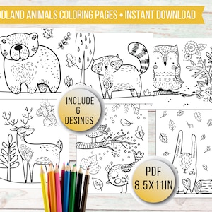 Printable Woodland Coloring Pages for Kids Kids Animal - Etsy