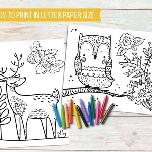 Printable Woodland Coloring Pages for Kids, Kids Animal Activity ...