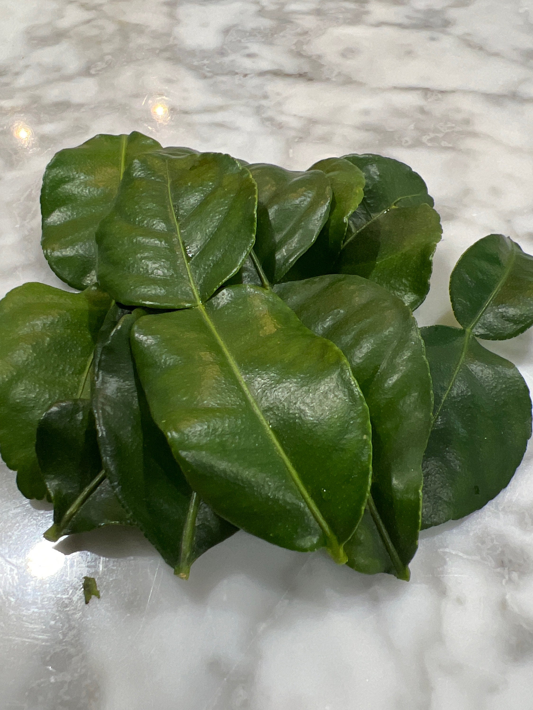 Organic Fresh Kaffir Lime Leaves | Bai Makrut | Makrut Lime Leaves ...