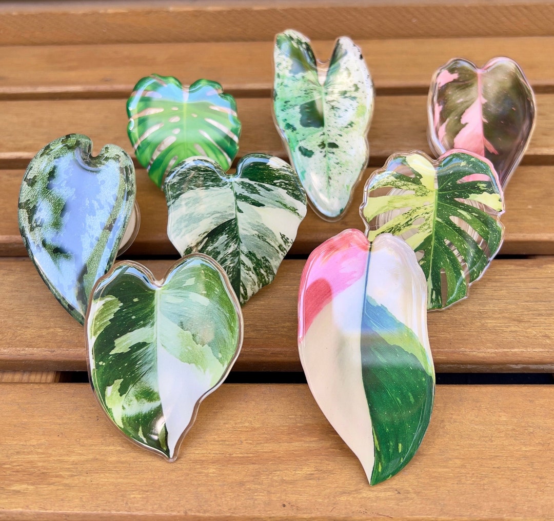 Mobile Phone Ring and Stand | Plant Lover Accessories | Phone Ring for ...