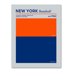 NEW YORK METS Team Color Swatch Photo Picture Baseball Poster Print ...