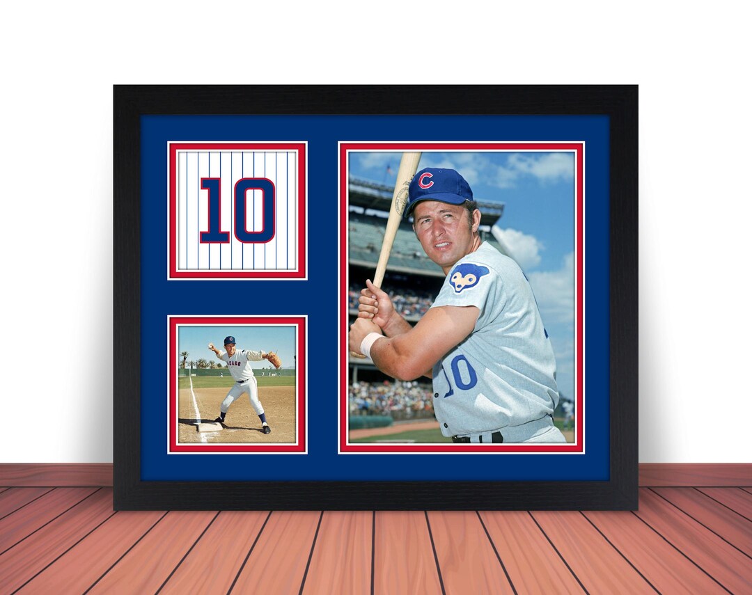Ron Santo CHICAGO CUBS Collage Photo Baseball Picture Poster Print in ...