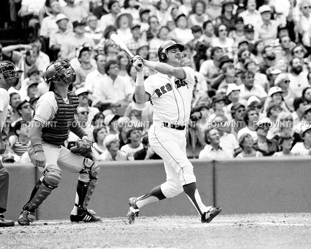 CARL Yaz YASTRZEMSKI Photo Picture BOSTON Red Sox at Fenway Park ...