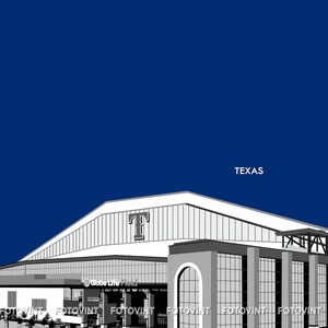 TEXAS RANGERS Globe Life Field Photo Picture BASEBALL Stadium Skyline ...