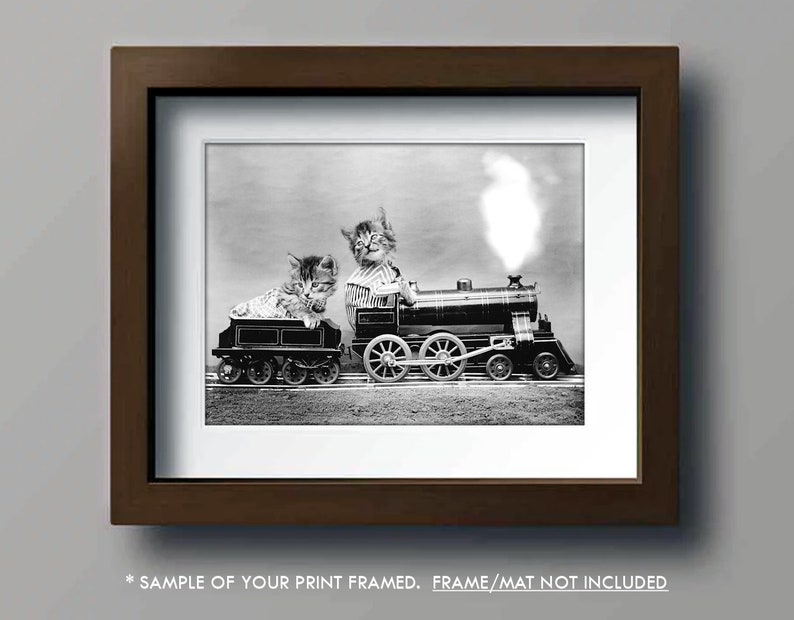 Vintage KITTEN CAT Train Photo Picture CONDUCTOR Kitty Dressed - Etsy