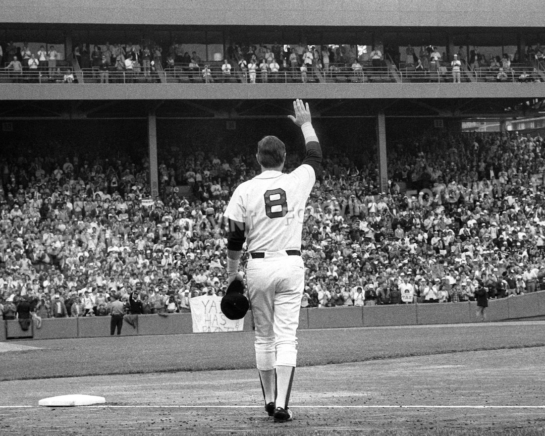 CARL YASTRZEMSKI DAY Yaz Photo Picture Boston Red Sox at Fenway Park ...