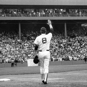 CARL YASTRZEMSKI DAY Yaz Photo Picture Boston Red Sox at Fenway Park ...
