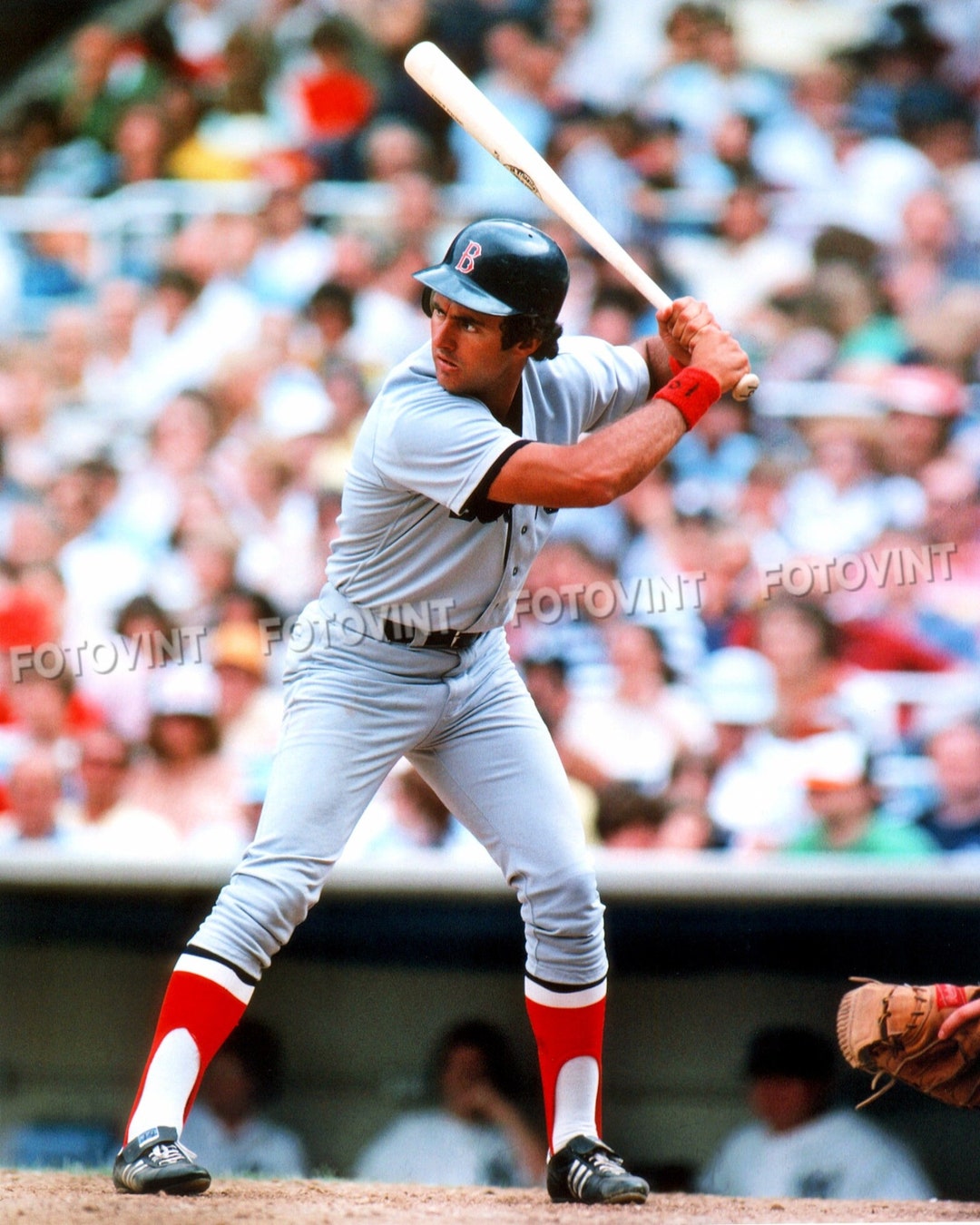 FRED LYNN Photo Picture FENWAY Park Boston Red Sox Baseball Photograph ...