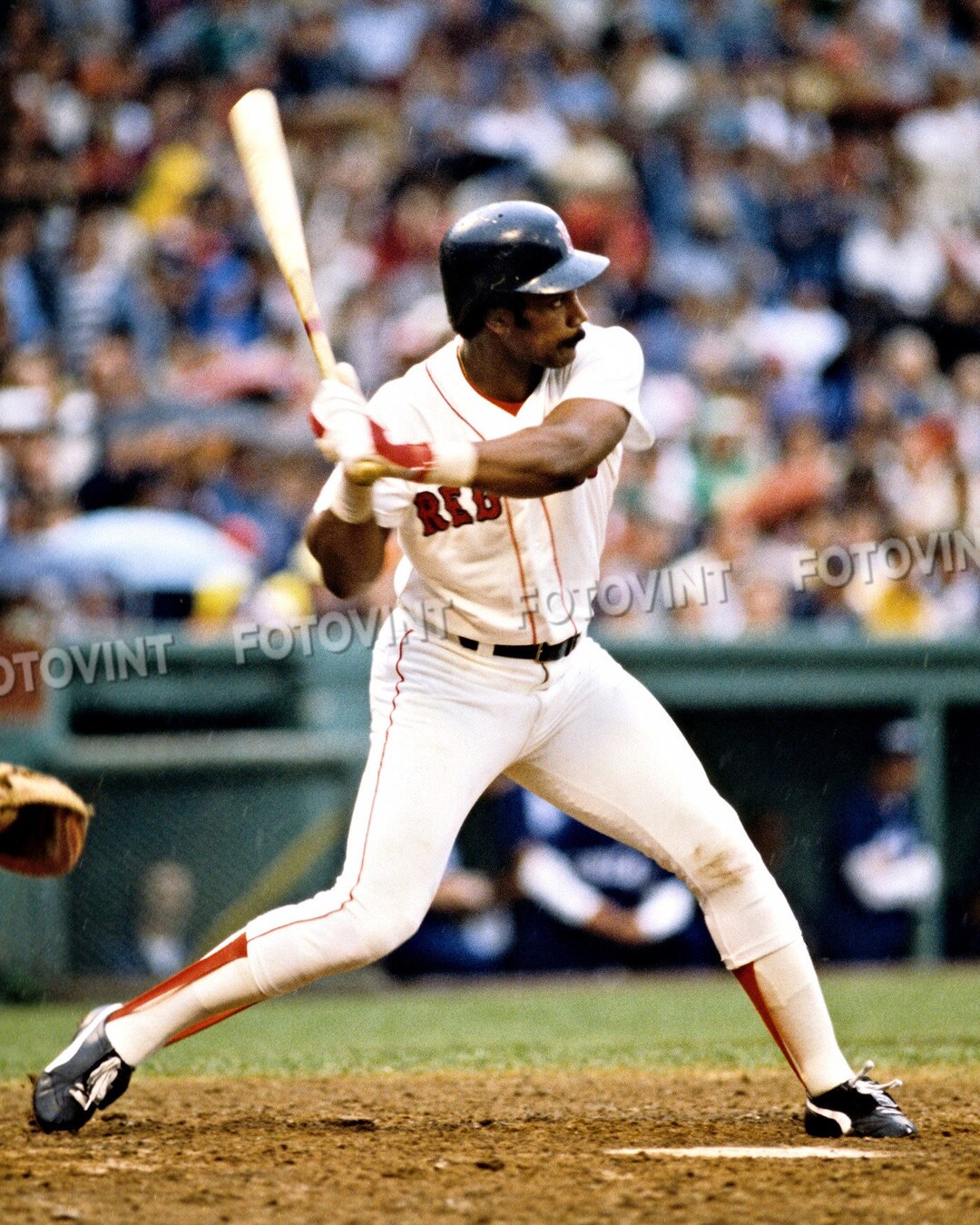 JIM RICE Photo Picture BOSTON Red Sox Fenway Park Baseball Photograph ...