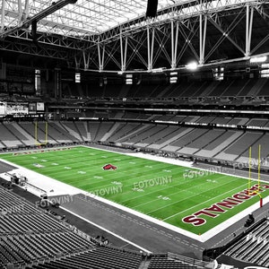 ARIZONA CARDINALS Photo Picture State Farm STADIUM Football Spotlight ...