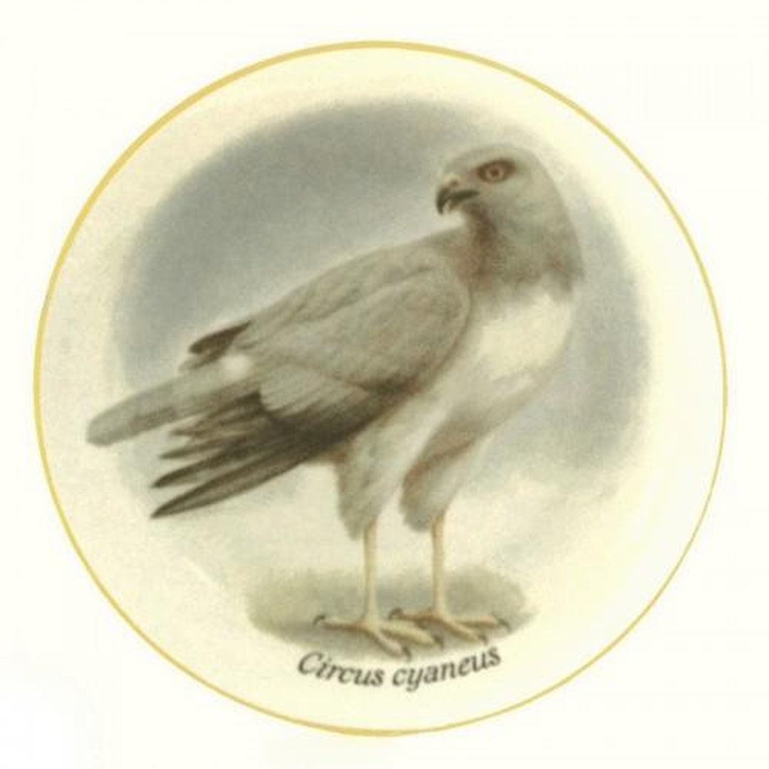 Blue Harrier Made in Denmark With the Finest European Porcelain - Etsy