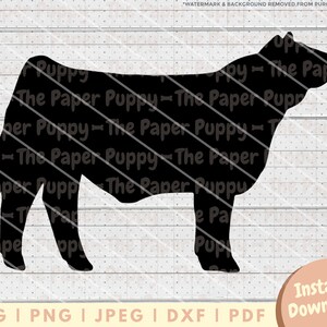 Show Steer SVG File PNG, PDF, Dxf, Cut File for Cutters and More Steer ...