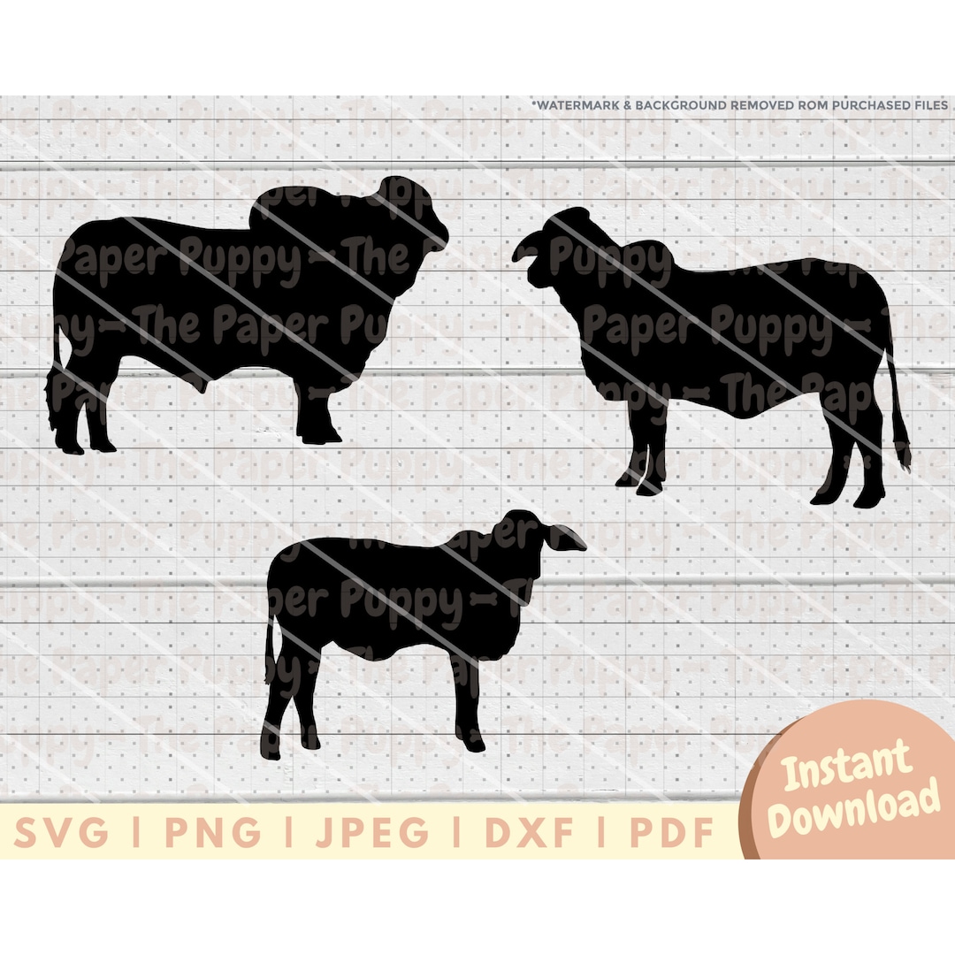 Brahman Cow SVG File - PNG, PDF, Dxf, Cut File for Cutters and More ...