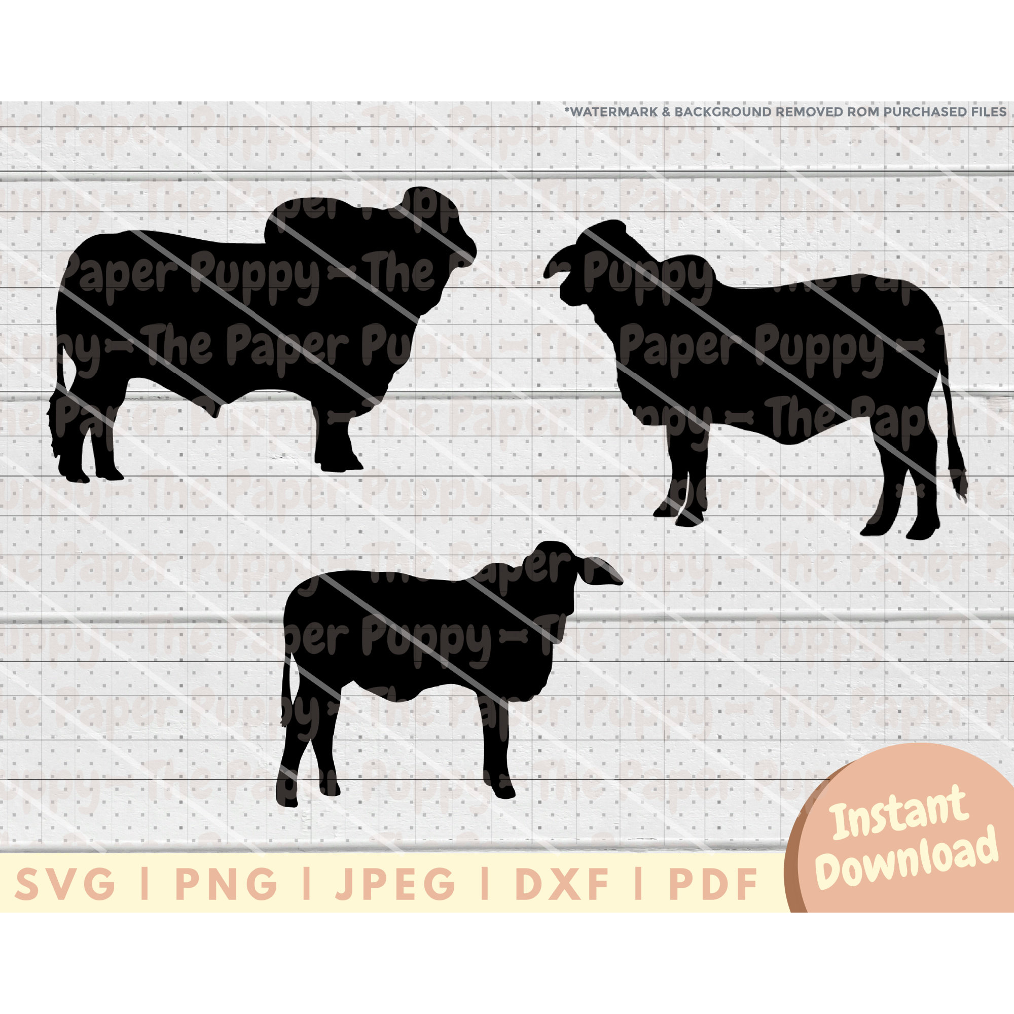 Archivo SVG de vaca Brahman - PNG, PDF, Dxf, archivo de corte para ...