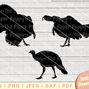 Turkey SVG File - PNG, PDF, Dxf, Cut File for Cutters and More ...