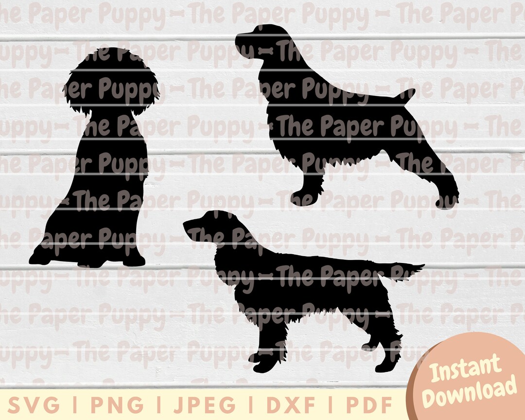 Springer Spaniel SVG File PNG PDF Dxf Cut File for - Etsy