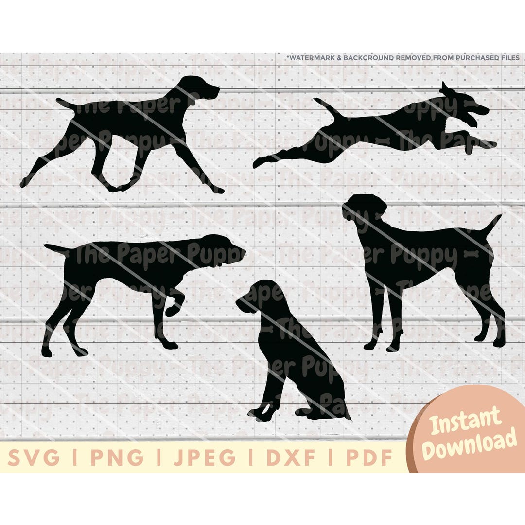 German Shorthair Pointer SVG PNG, Pdf, Dxf, Cut File for Cutters & More ...