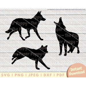 Coyote SVG File - PNG, PDF, Dxf, Cut File for Cutters and More - Coyote ...