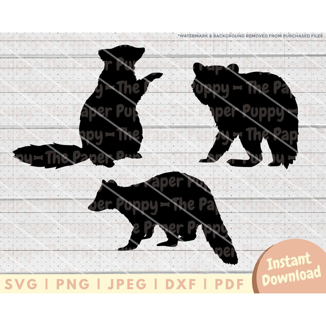 Raccoon SVG File - PNG, PDF, Dxf, Cut File for Cutters and More - Coon ...